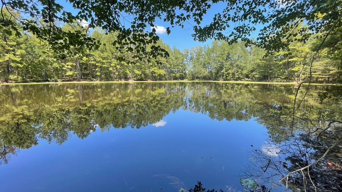 Park Road, LLC | Whitetail Properties