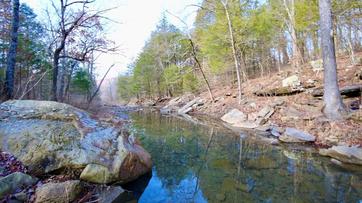 Spectacular Hunting And Recreational Oasis | Whitetail Properties