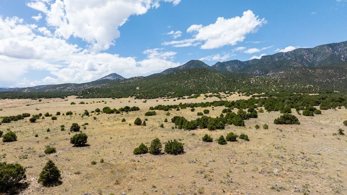 Open Plains Lot In GMU 84 | Whitetail Properties