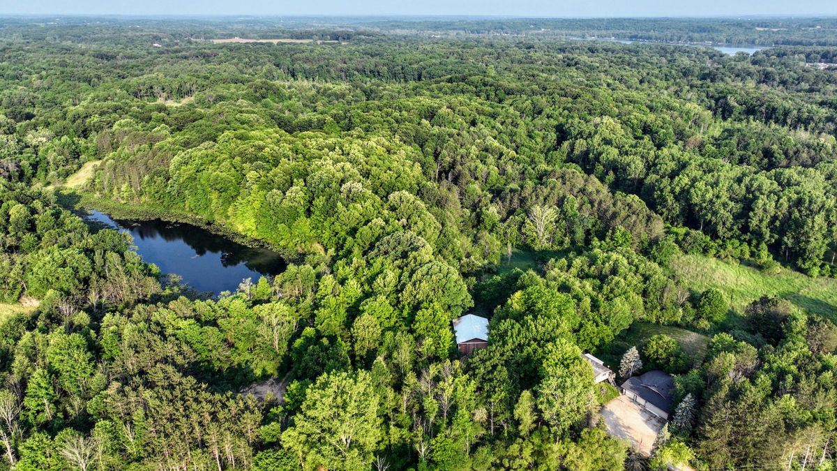 Elite Turnkey Hunting Acreage Loaded With Wildlife, Mature Timber ...