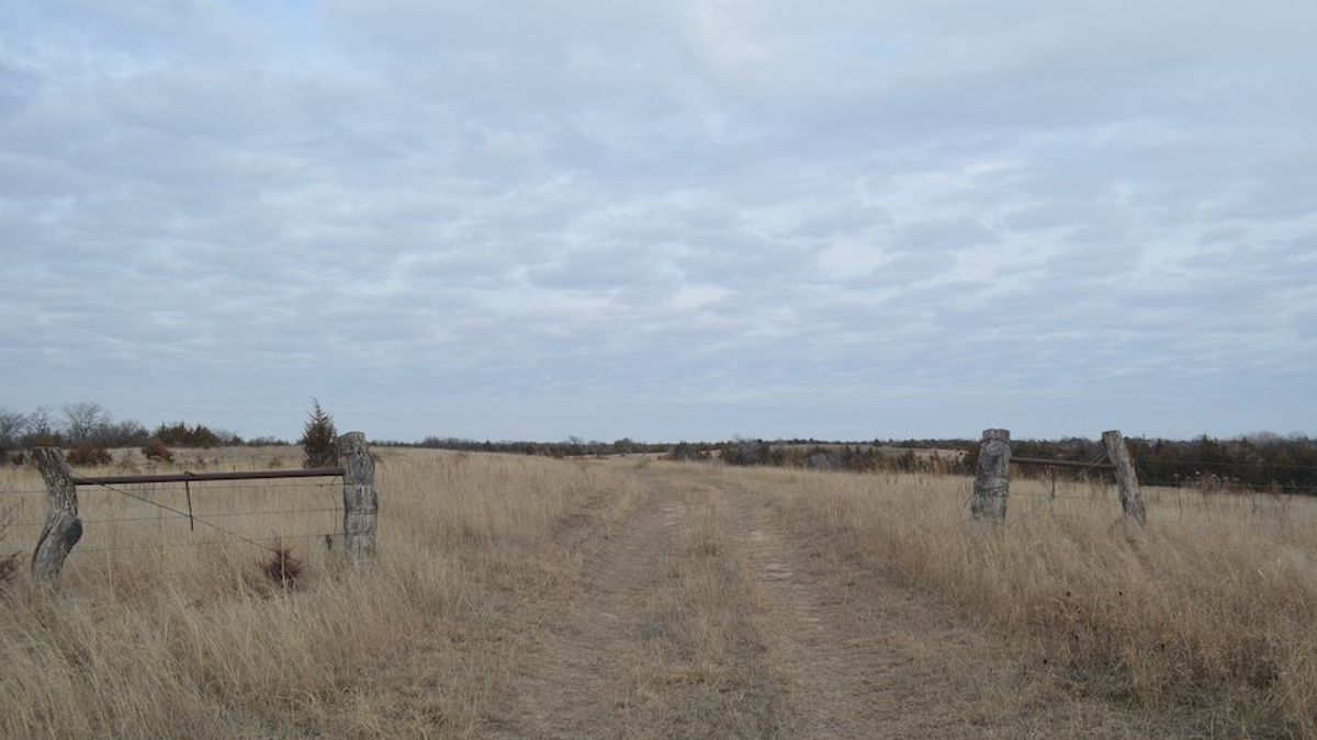 River Road Bluff And Bottom Turnkey Hunting | Whitetail Properties