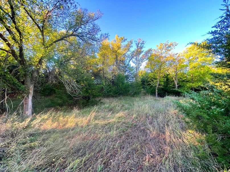 Tillable And Hunting Quarter By Wilson Reservoir | Whitetail Properties