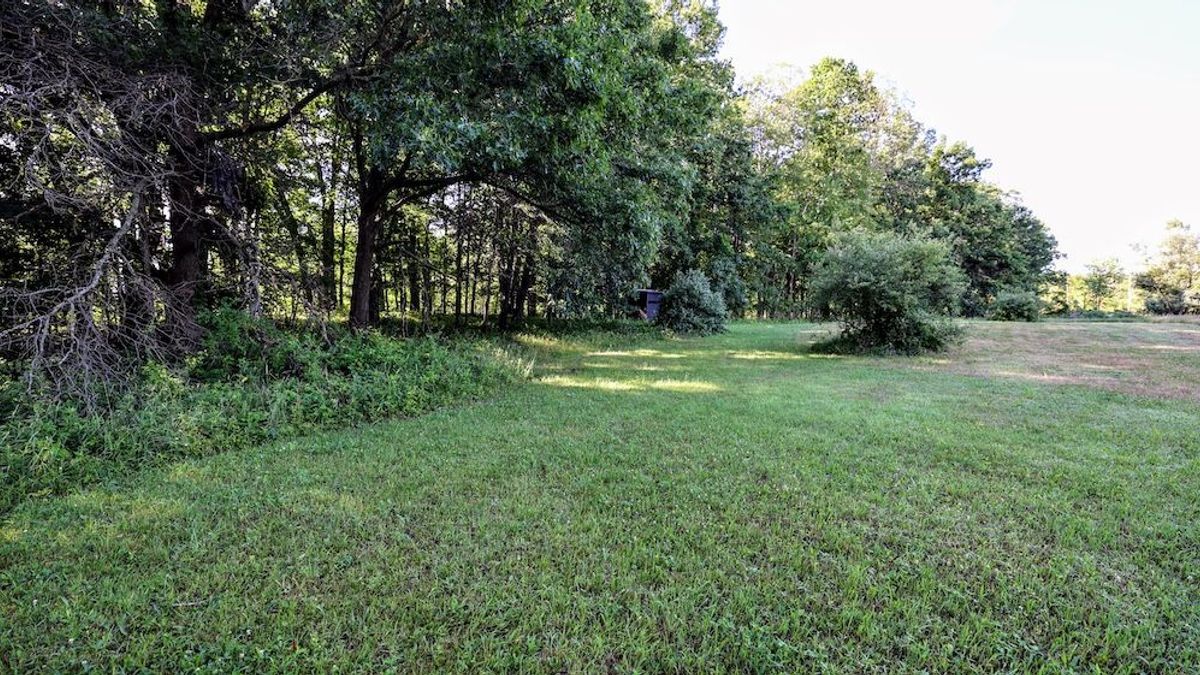 Nestled Acreage Between Large Contiguous Managed Parcels With Potential ...