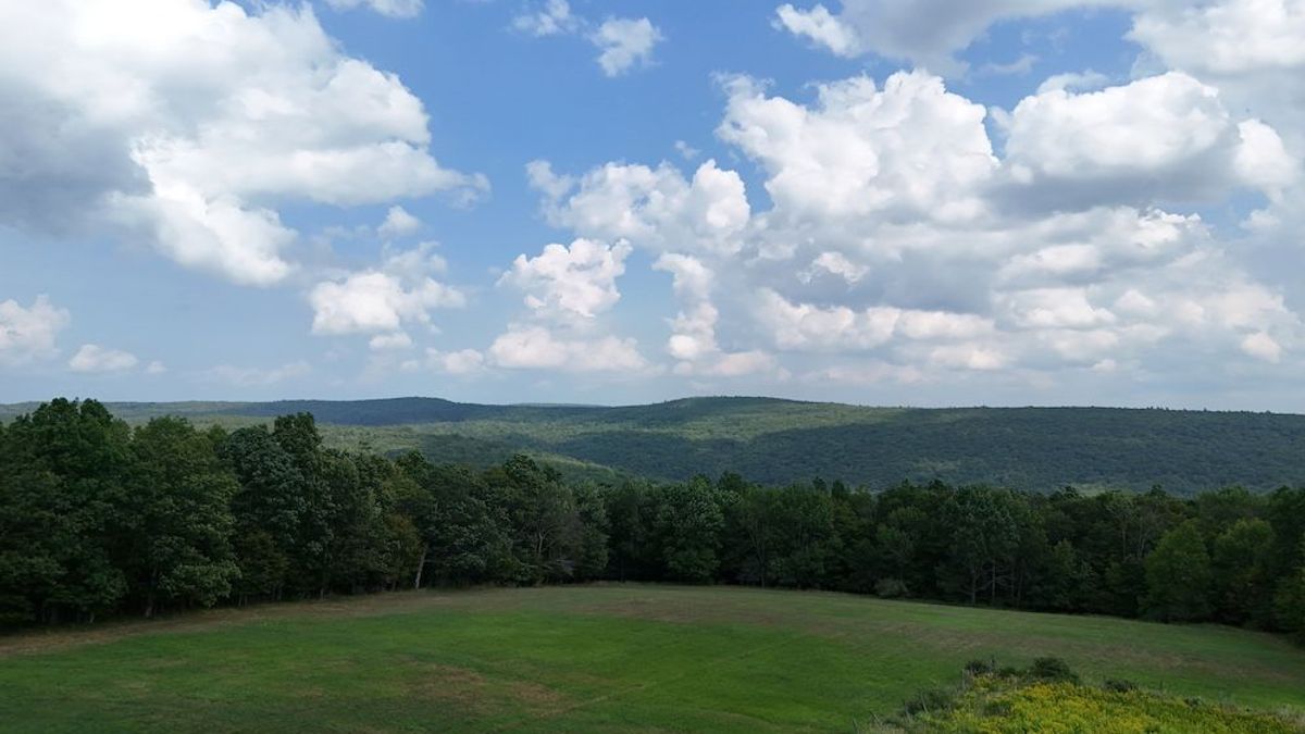 32.8 Acres With Barns Bordering Patria State Forest | Whitetail Properties