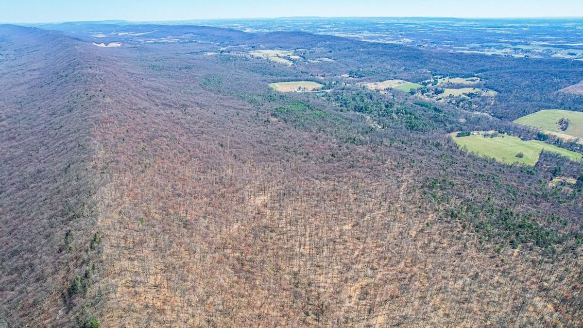 Secluded Mountain Retreat With Timbered Acreage And Hunting ...