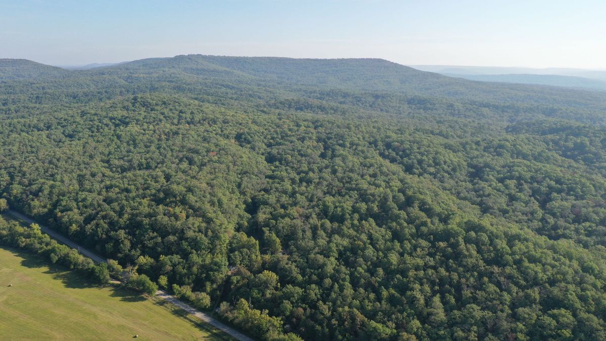 Remote Hunting Property Next To Cookson Wildlife Refuge | Whitetail ...