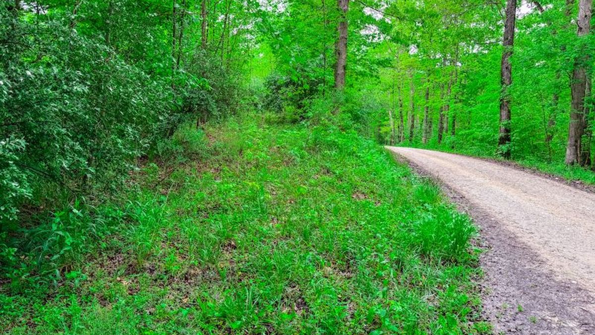 Hunting Tract Bordering Hughes River WMA | Whitetail Properties