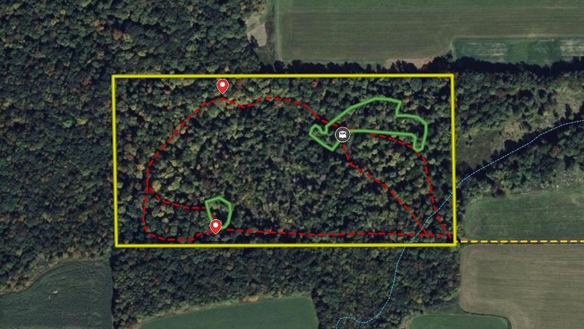 Prime Hunting Tract Extensively Developed For Whitetails | Whitetail ...