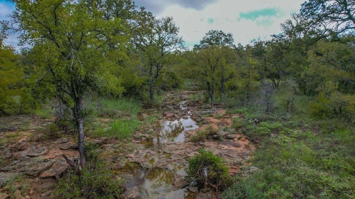 Lone Buck Ranch | Whitetail Properties