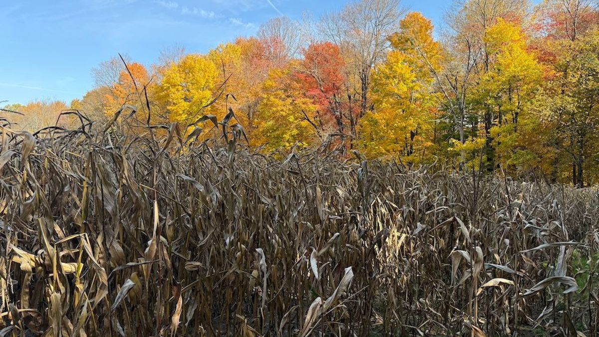 Beautiful Farm With The Ideal Mix Of Tillable And Wooded Acreage ...