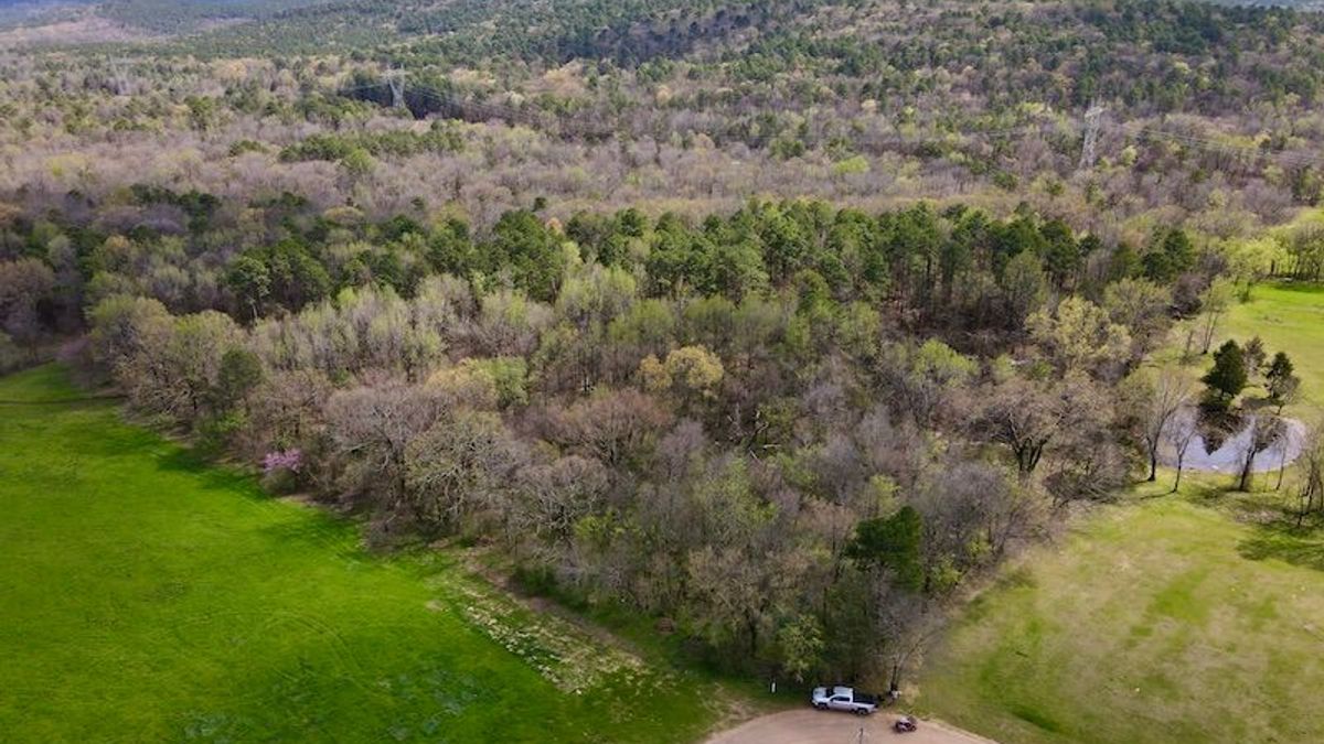 Bordering The US Forest And Stunning Mount Magazine Views | Whitetail ...