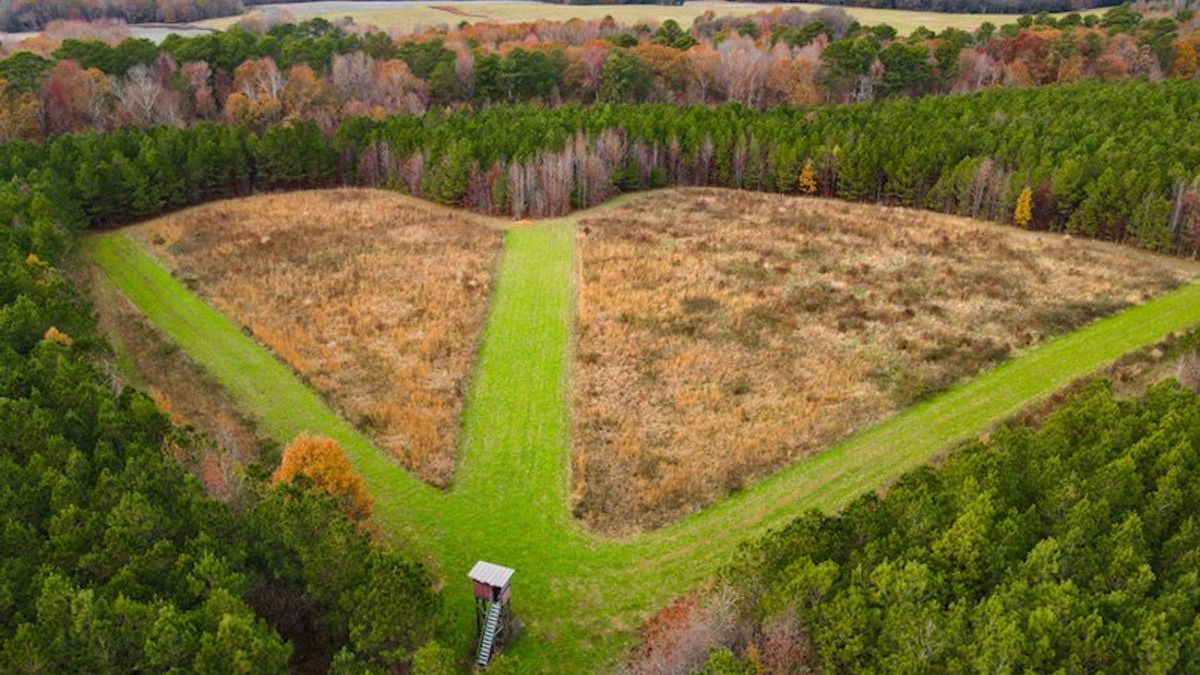 Large Turn Key Hunting Tract With Tillable Acreage In NW Alabama ...