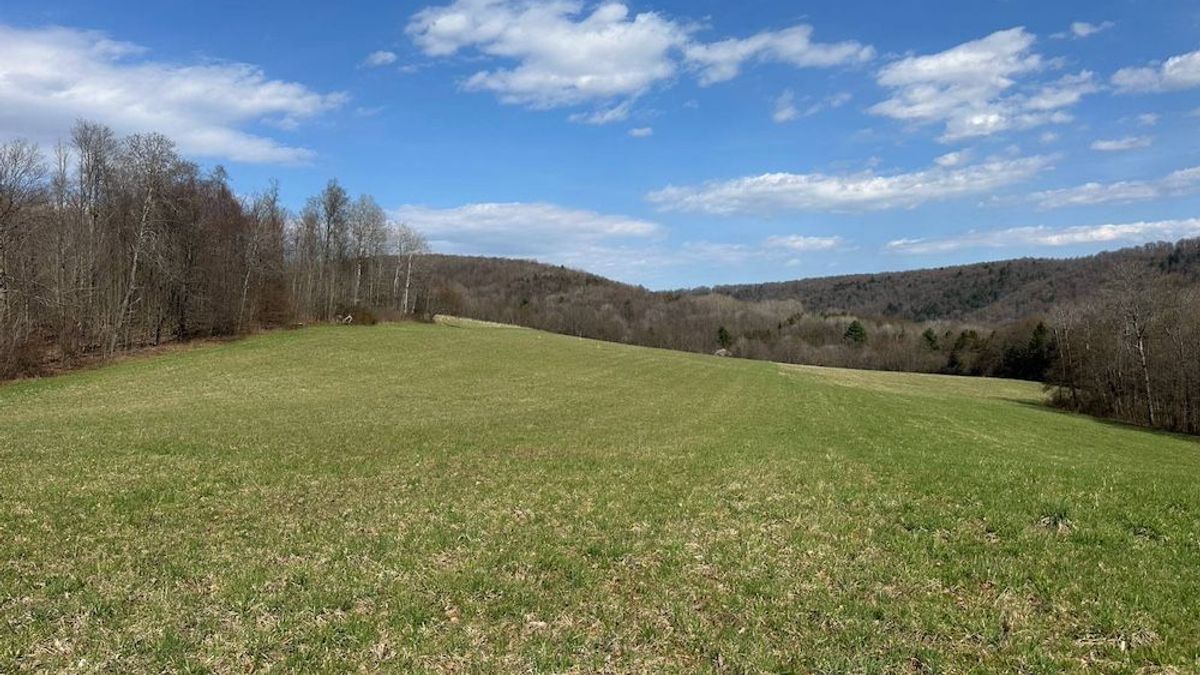 33.44+/- Acre Farm With Building Site, Creek, Trails And Hunting ...
