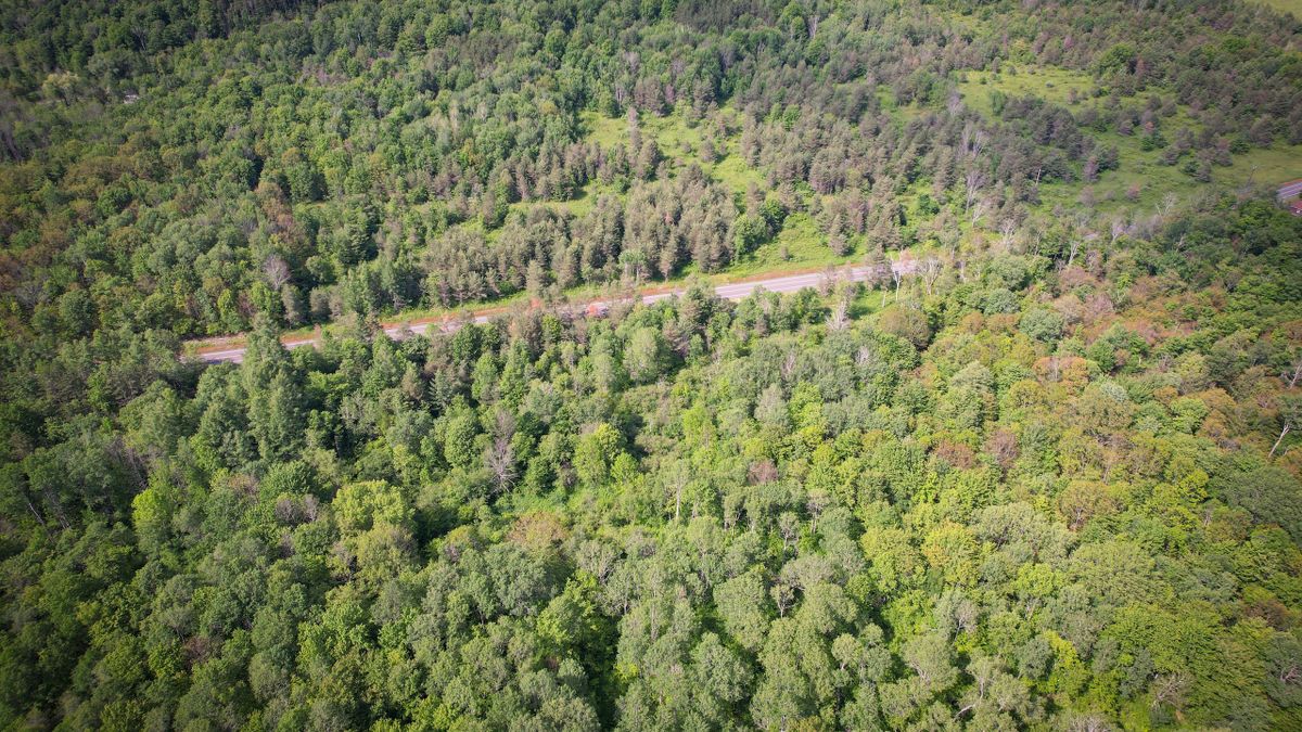Diverse And Beautiful Vacant Land Lot With Frontage On Two Sides ...