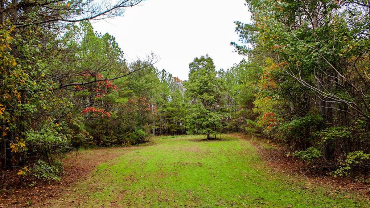 Winston County Hunting Tract Featuring Trail System, Food Plots, And ...