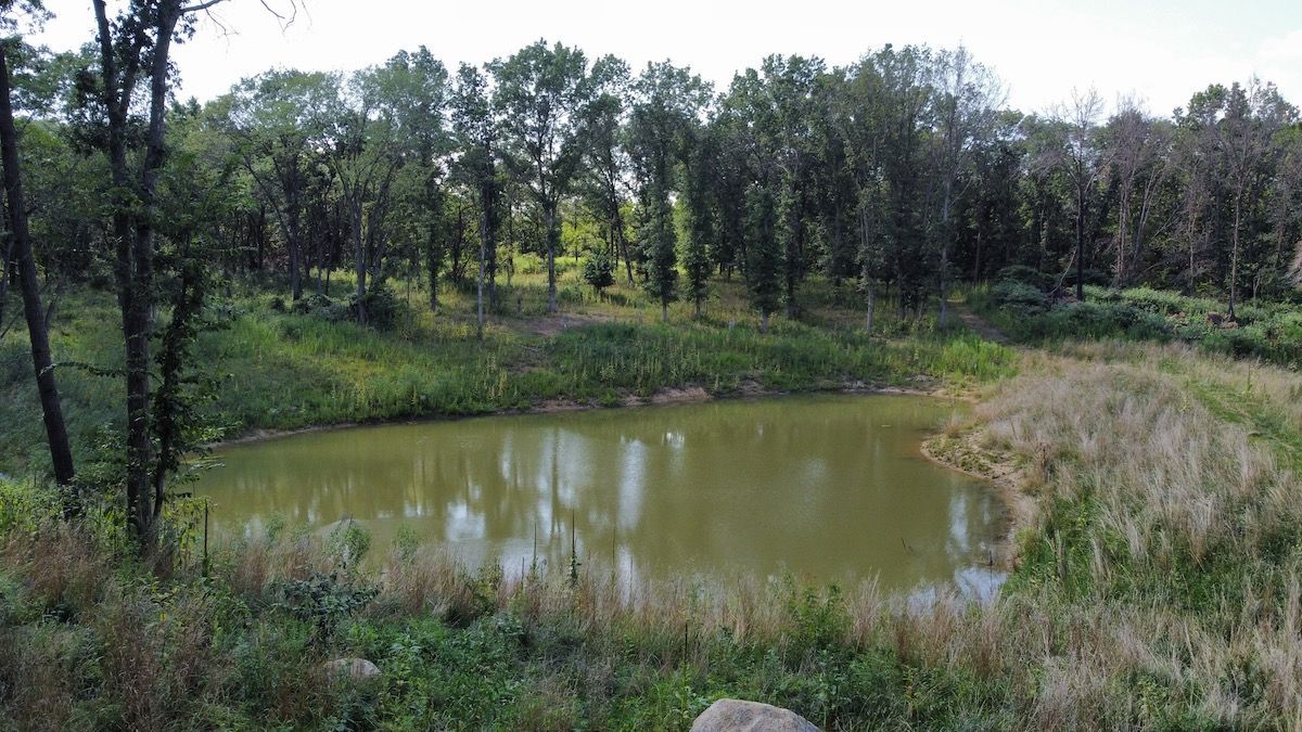Timber Tract With Newly Built Pond Near Rathbun Lake | Whitetail Properties
