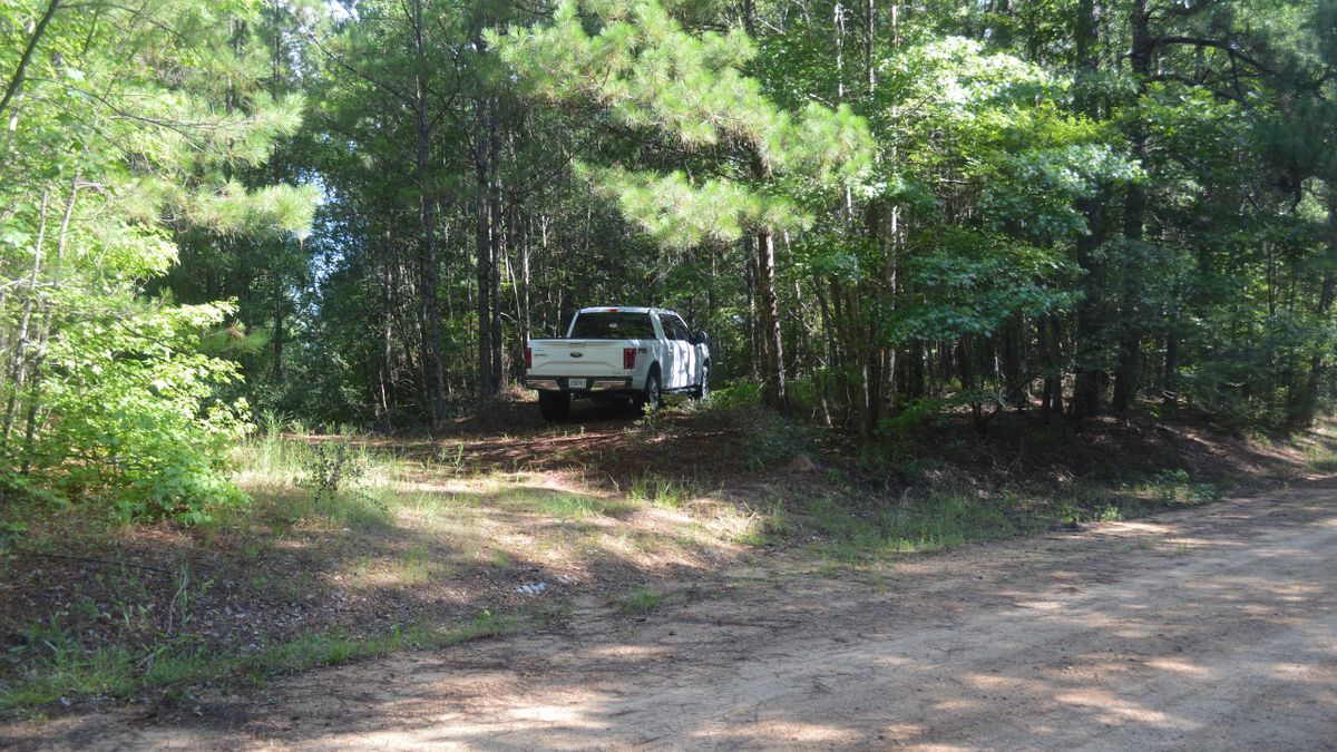 Small Tract Bordering National Forest | Whitetail Properties