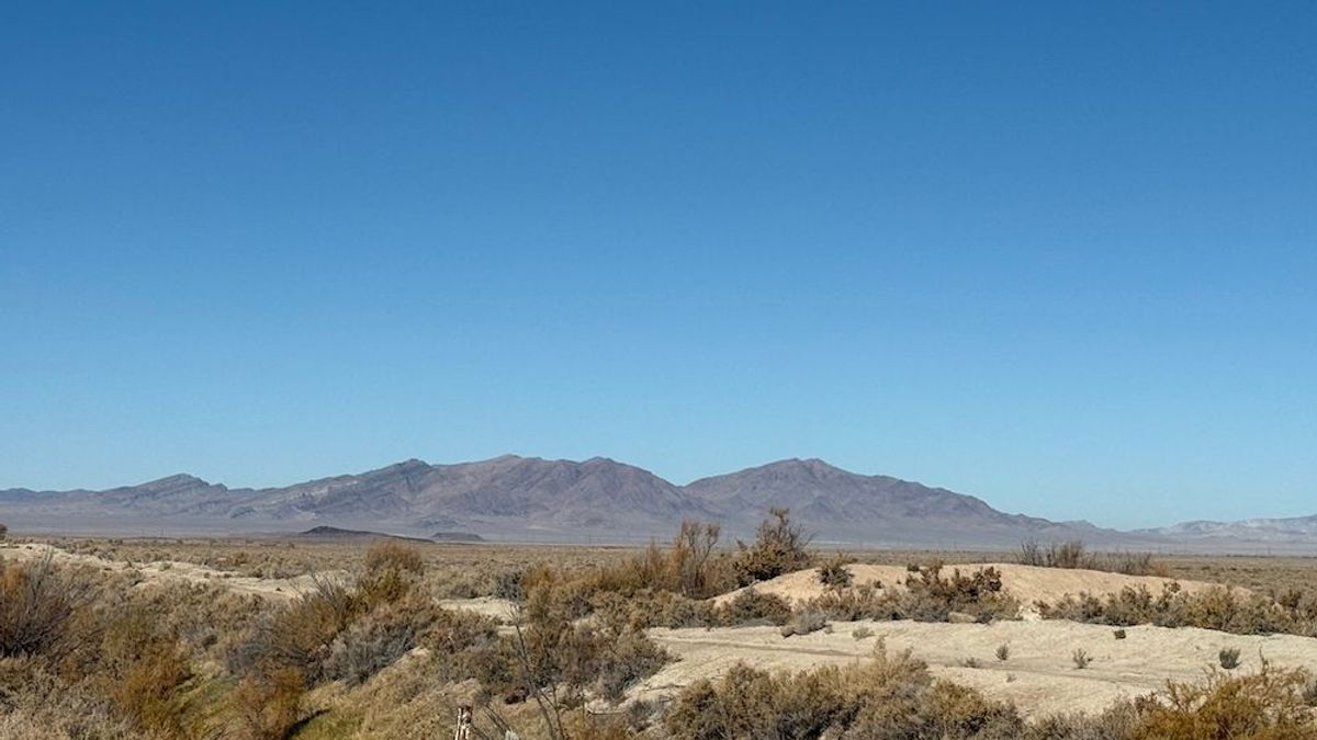 80 Acres Of Open Range Land Near Delta Utah | Whitetail Properties