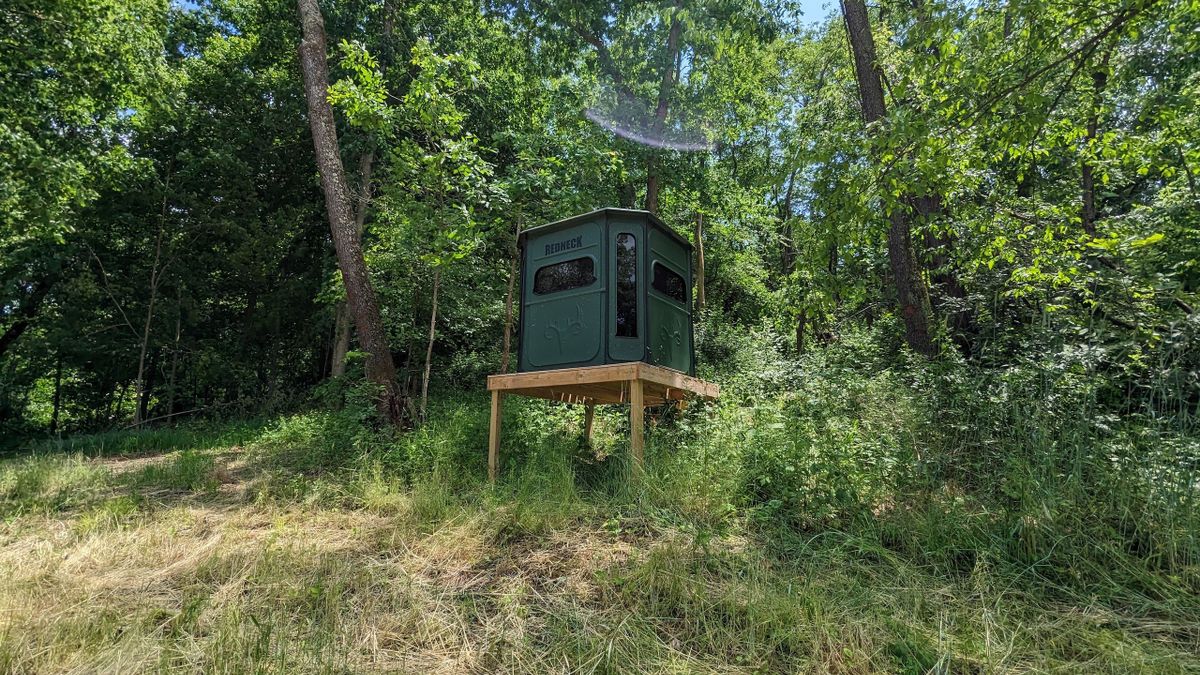 Affordable Turn-Key Hunting Property With Food, Cover And Water ...