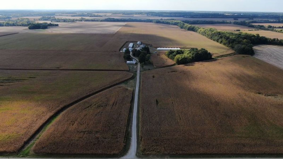 Small Hog Farm With Land, Barns, And A Historic Home In Coles Co IL ...