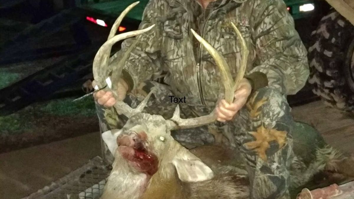 Phenomenal Hunting Property Bordered By Dewey Wills WMA | Whitetail ...