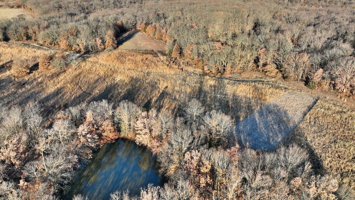 Secluded Rolling Timber And CRP Recreational Hunting Farm In Great QDM ...