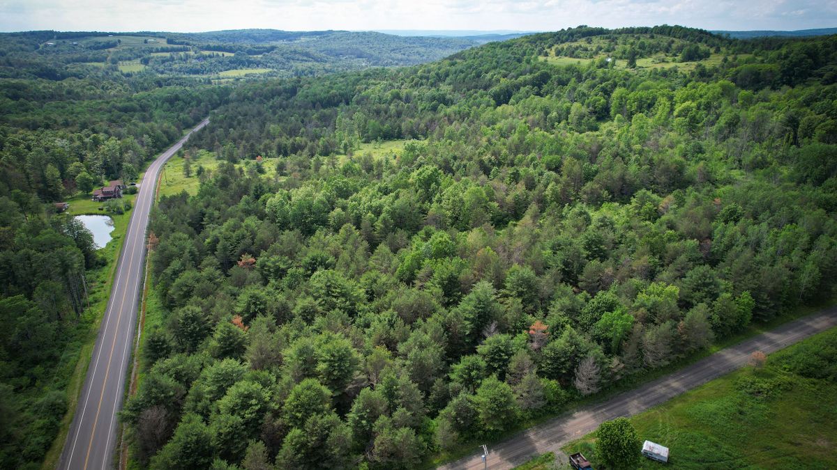 Affordable Wooded Land Parcel With Considerable Road Frontage ...