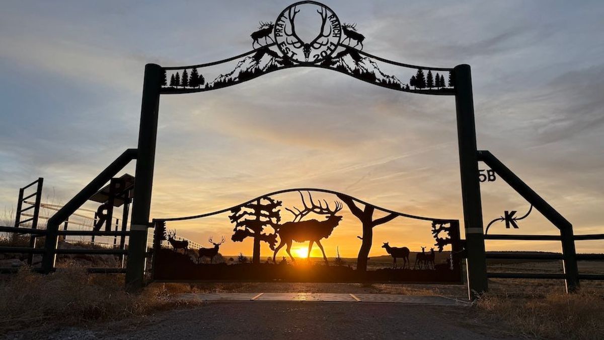 Premier Elk Hunting Ranch In Western New Mexico-The Legendary Pratt ...