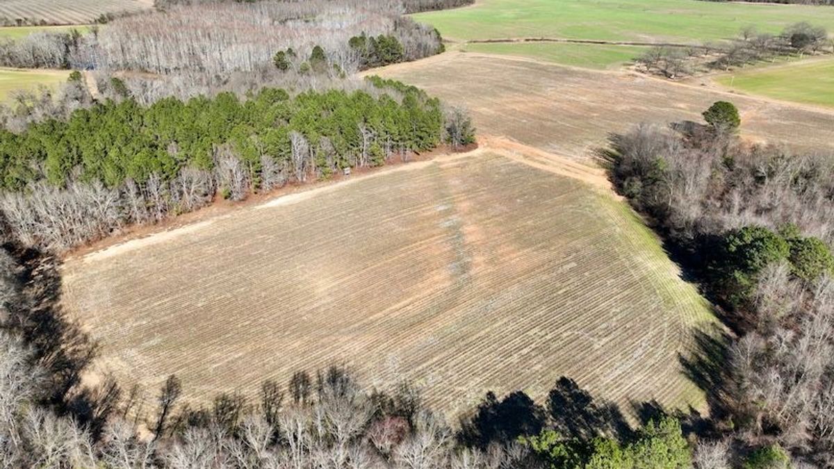Rogers Branch Premier Farm & Sporting Land | Whitetail Properties