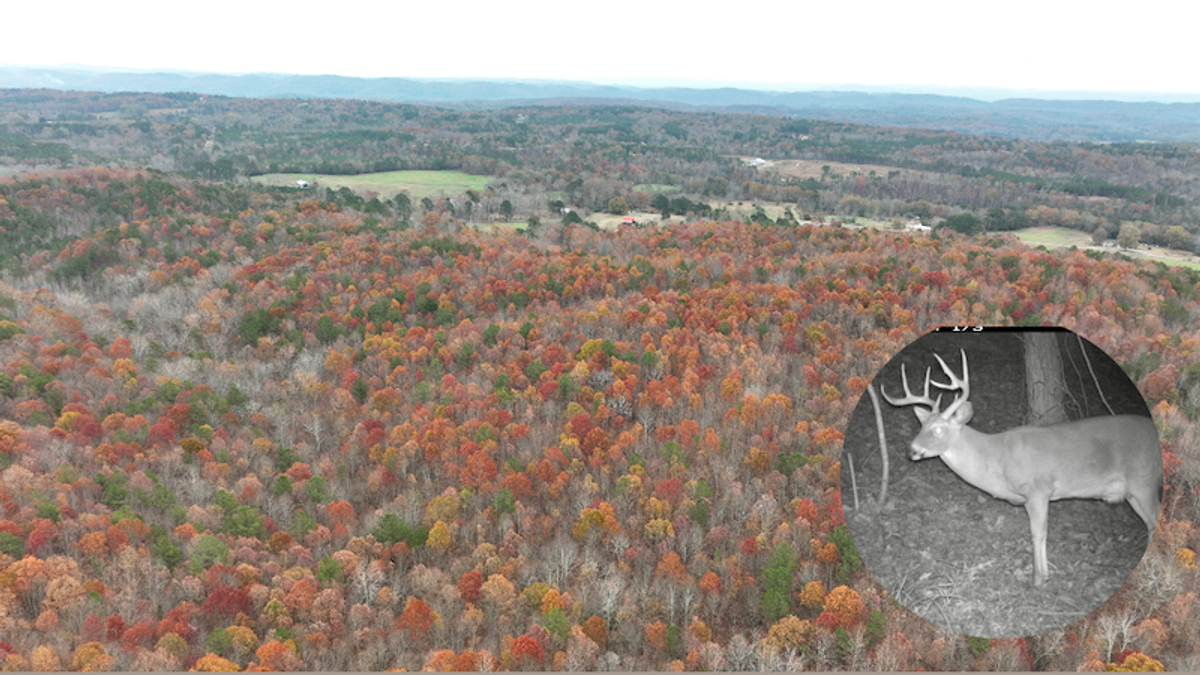 Beautiful Hardwood Tract Rolling Terrain With Views And Hunting ...