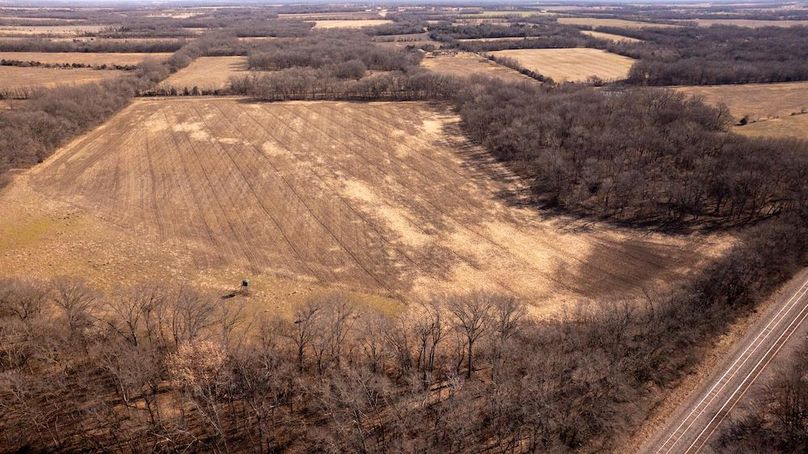 Duck Head Island | Whitetail Properties