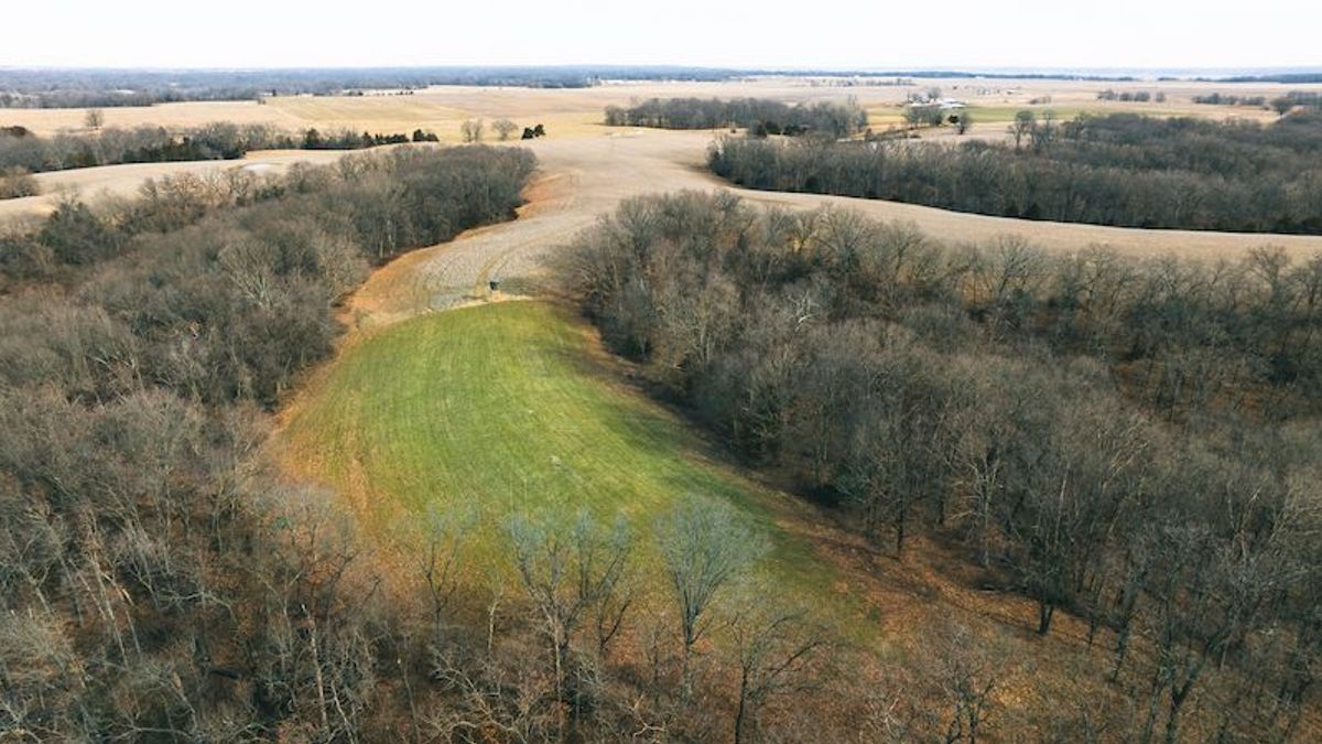 Hunting And Income Producing Farm In Southern Pike County | Whitetail ...