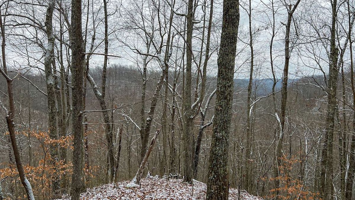 Beautiful Hunting Tract Near Rosedale | Whitetail Properties