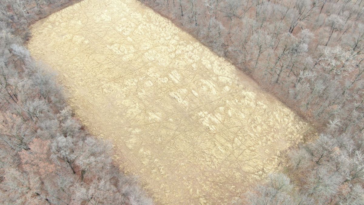 Secluded Recreational Farm With Timber And A Great Food Plot Location ...