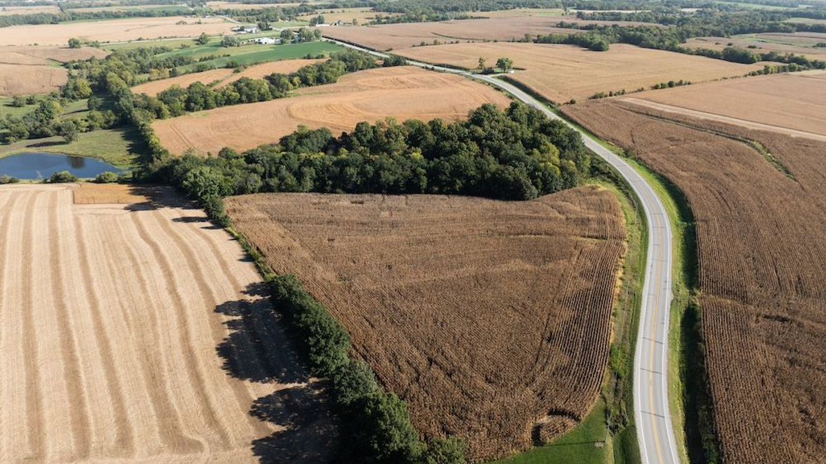 Building Site Acreage With Timber And Farmland In Southeast Iowa ...