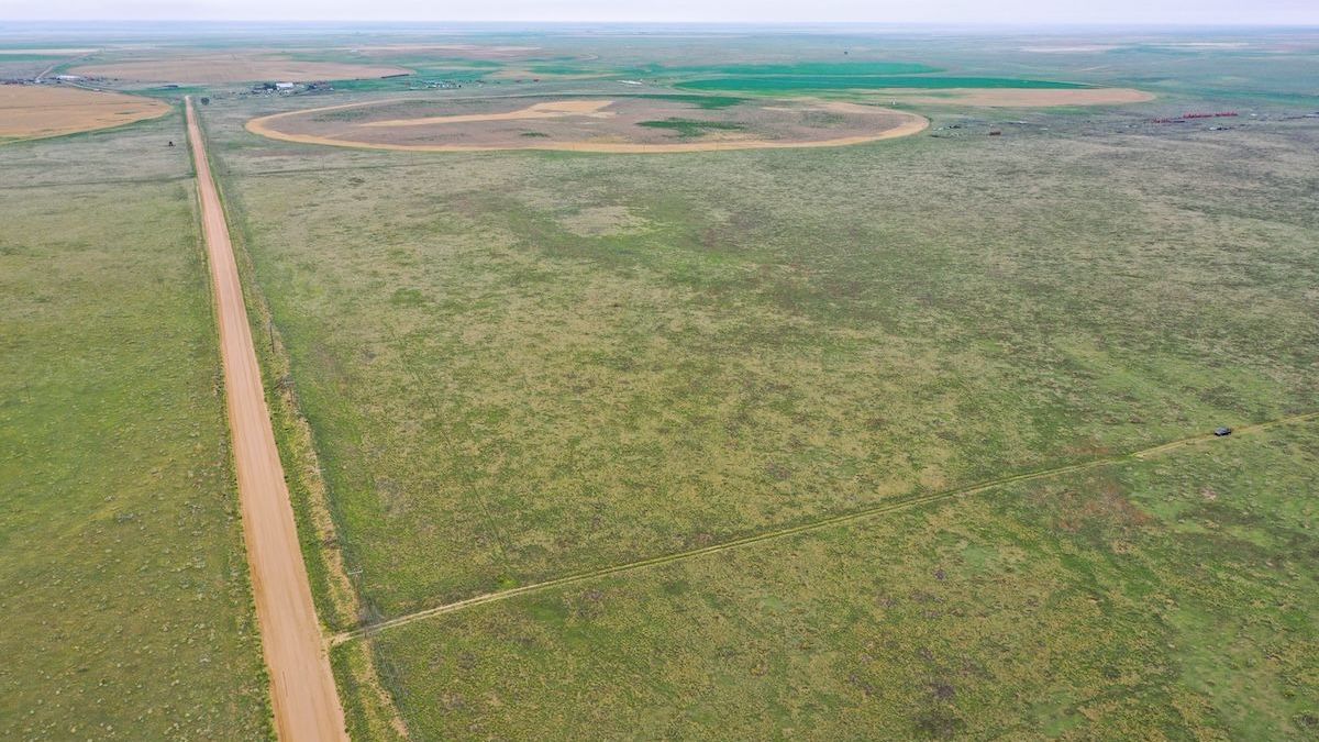 Cimarron County Cattle Ranch | Whitetail Properties