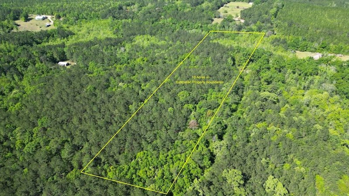 Wooded Acreage With Timber, Hunting, Recreational And Residential ...