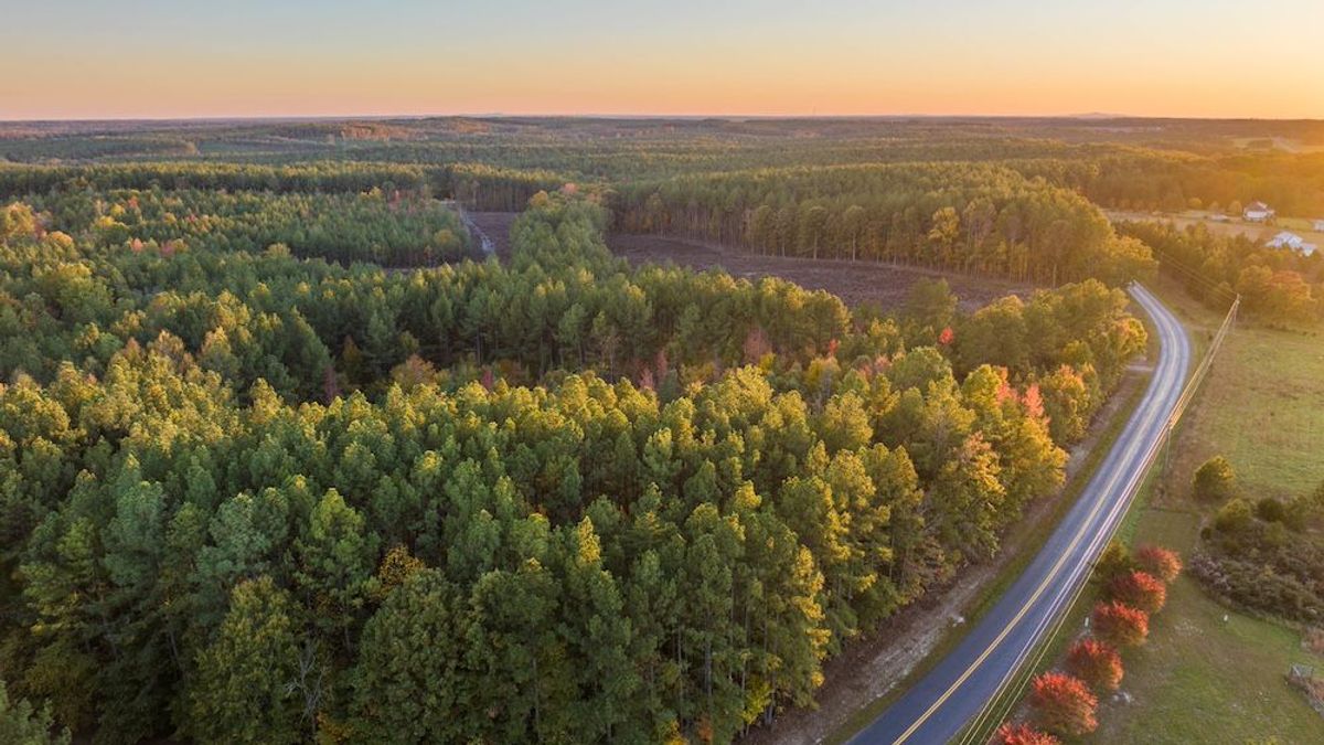 Affordable Potential Building Tract | Whitetail Properties