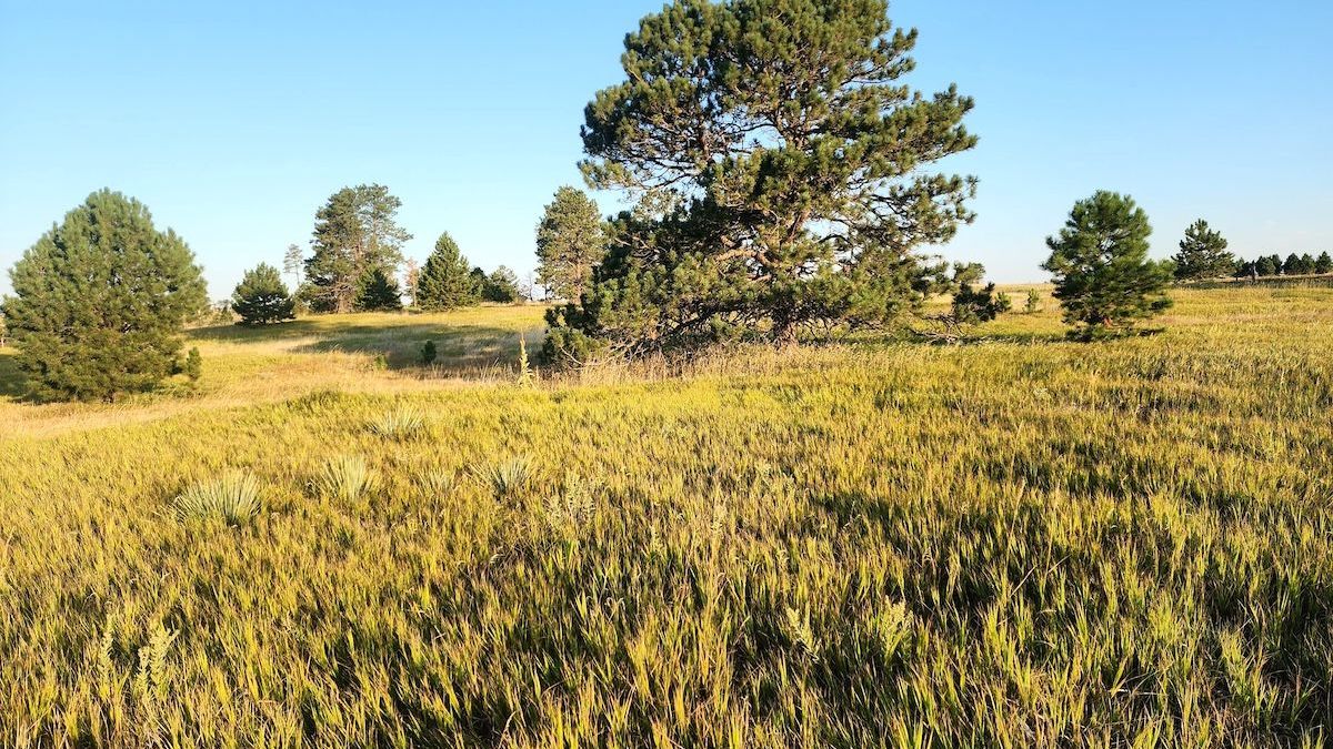 Amazing Recreational Parcel Located In The Pine Ridge National Forest ...