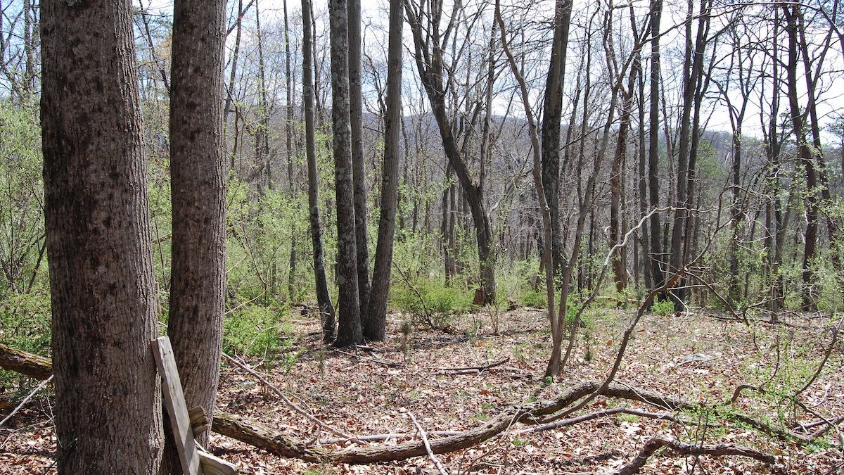 Hilltop Lot With Mountain Views For Sale In The Eastern Panhandle Near ...