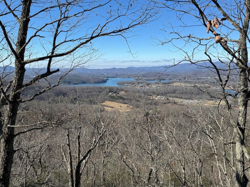 The Fleaback Mountain Retreat With Lake Chatuge Views | Whitetail ...