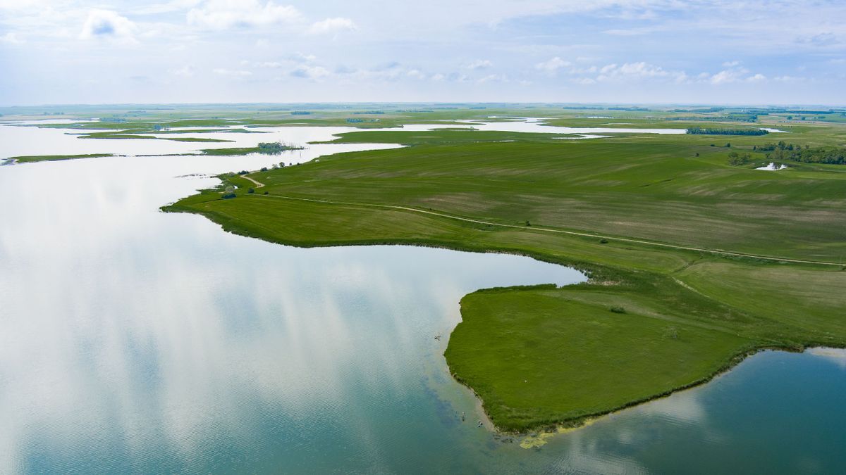 Lynn Lake Waterfront Acreage | Whitetail Properties