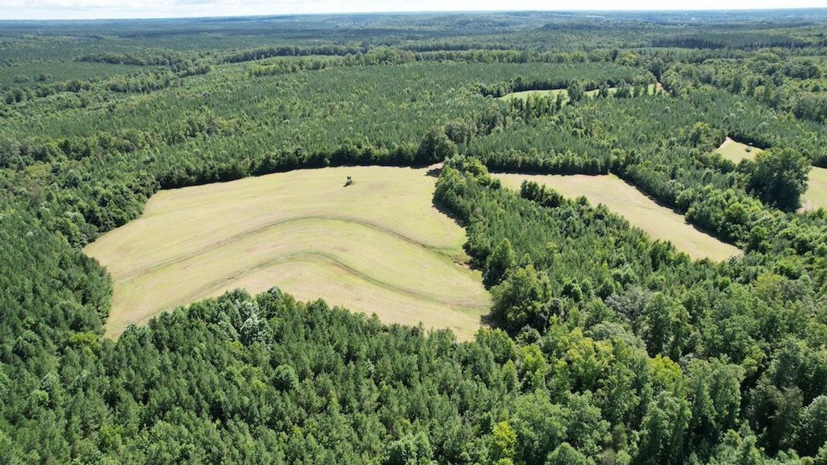 Beautiful Rural Acreage With Off-Grid Cabin, Garage, Well And Septic ...