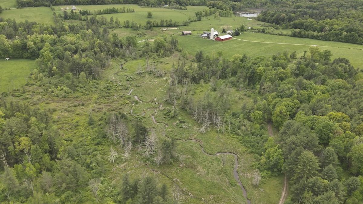 Barns, Stream, House And Seclusion - A Farm With Options | Whitetail ...