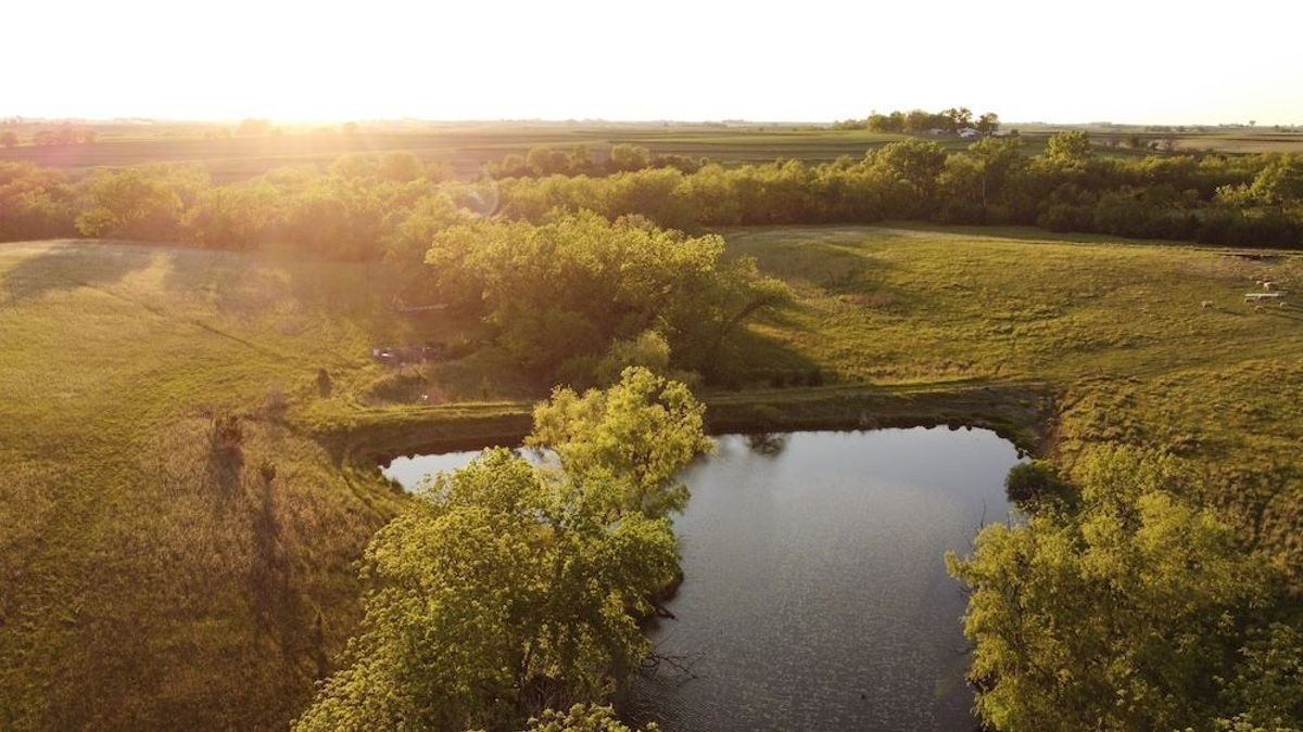 Dynamite Affordable Acreage With Endless Opportunities And Fishing Pond ...