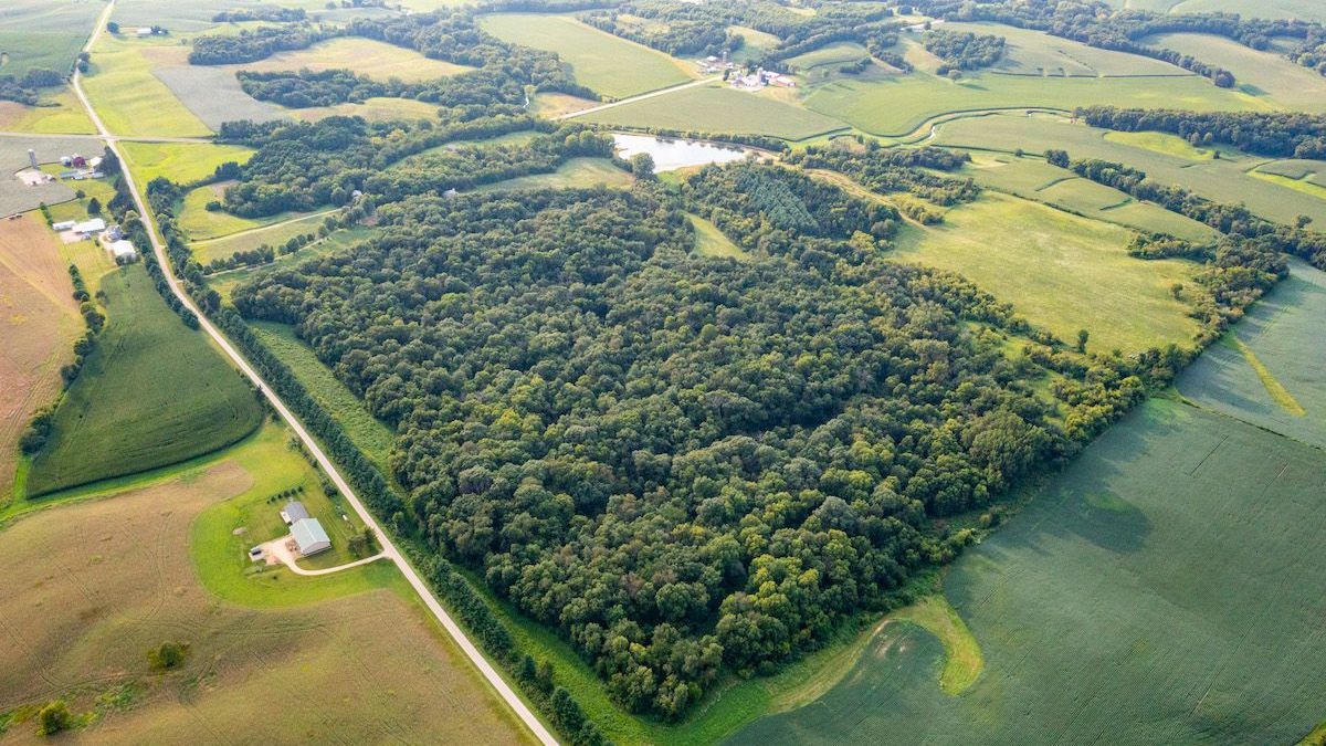 Private Ridgetop Home Overlooking A Pond, Timber And Tillable ...