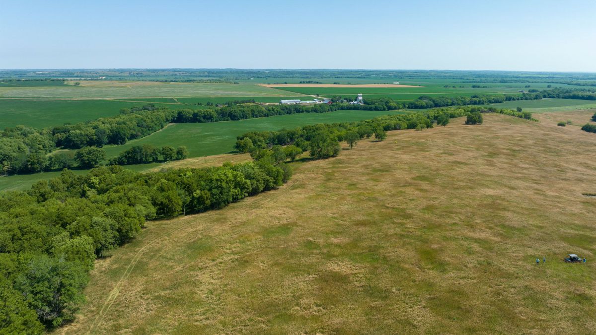 Rolling Pasture With Ponds And Timbered Edges | Whitetail Properties