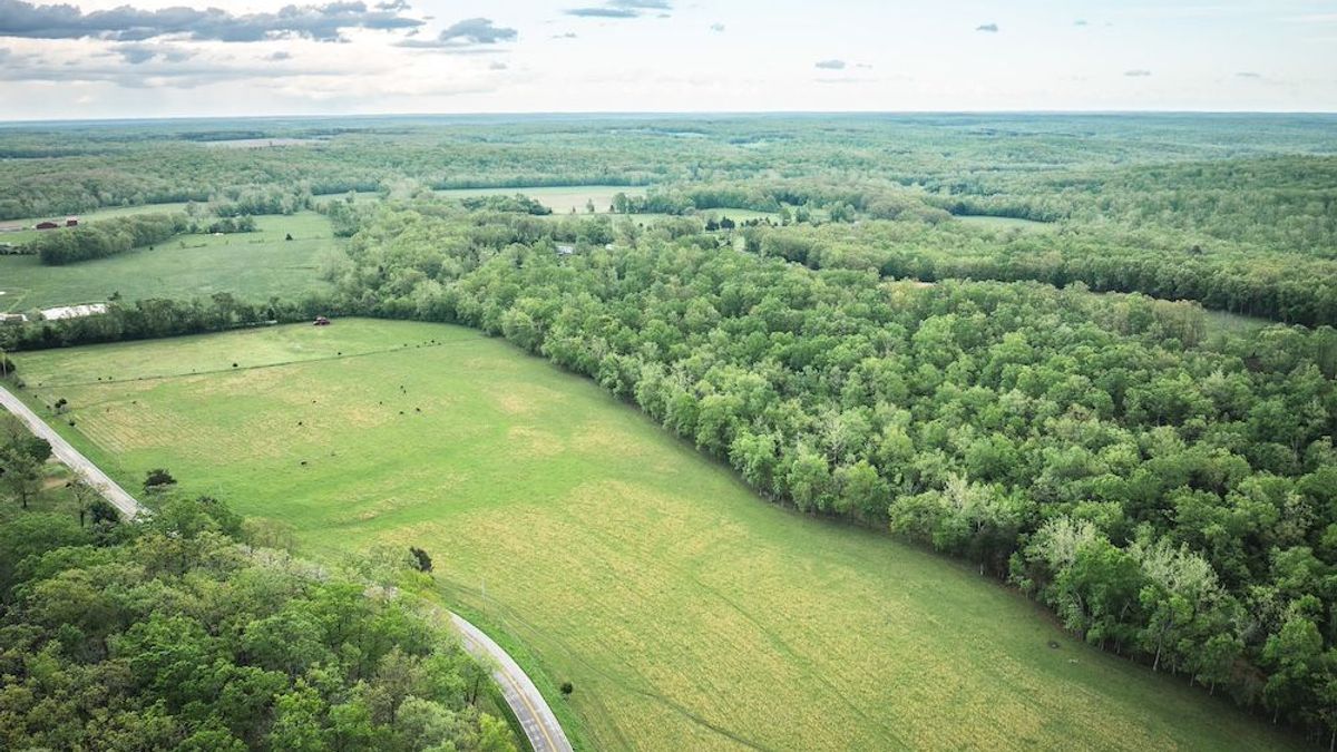 Excellent Hunting, Recreational And Farming Property With Highway Road ...