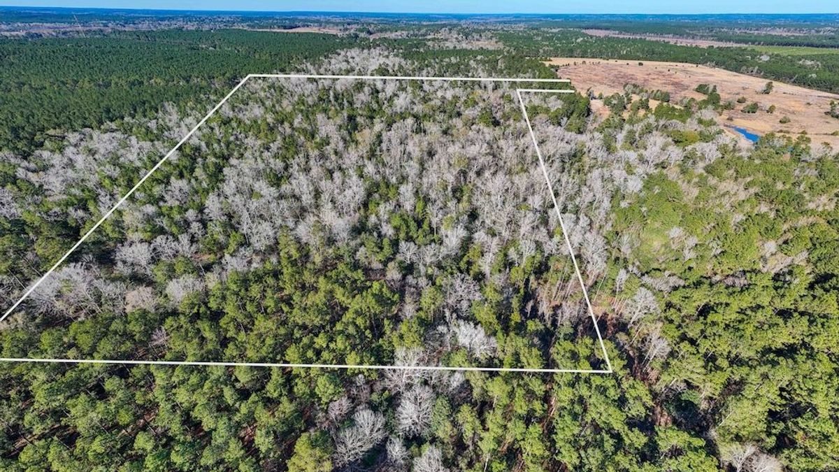 Turkey Creek Ranch - 50 Acres Of Mature Hardwood And Pine Timber ...