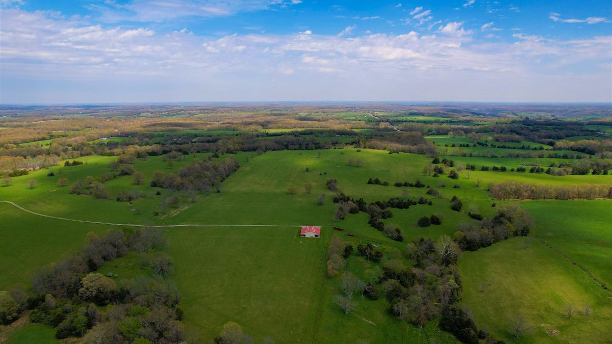 Well-Managed Productive Pasture Farm With Fenced Pastures And Cattle ...